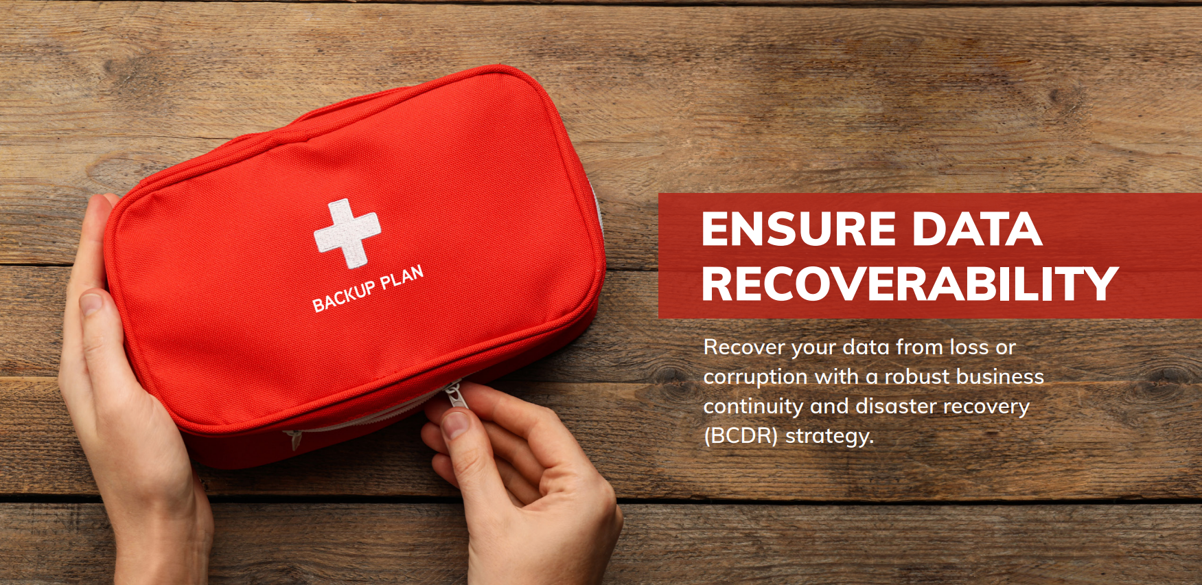 Houston Small Business Data Backup Services | Scorpion Technology LLC